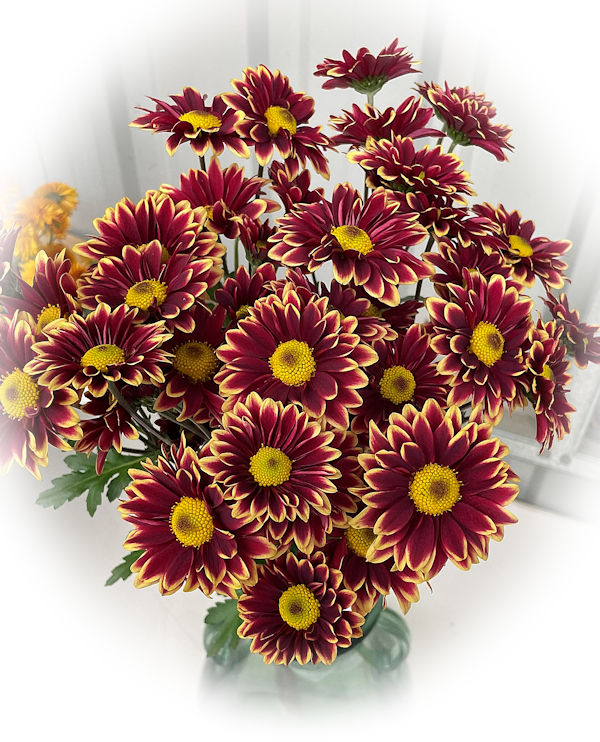 All images Copyright Suntec NZ Ltd
