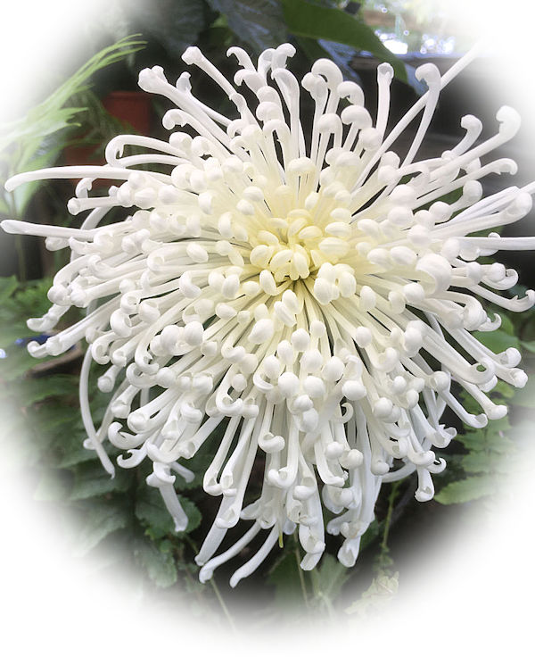 All images Copyright Suntec NZ Ltd