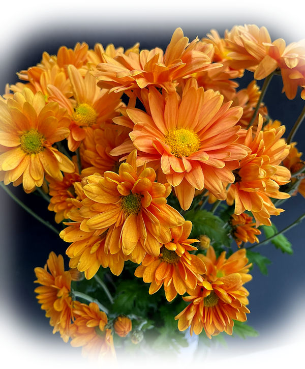 All images Copyright Suntec NZ Ltd